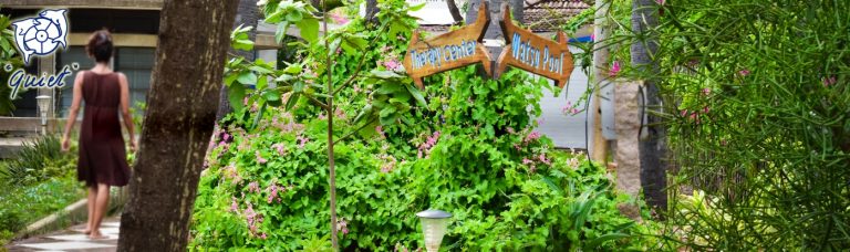 Colon Hydrotherapy (Wood’s Gravity Method) | Quiet Healing Center